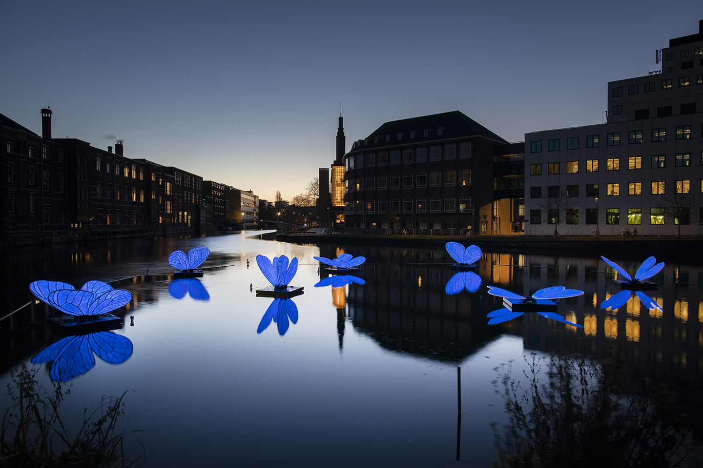 Light Art Collection | Light Art Collection